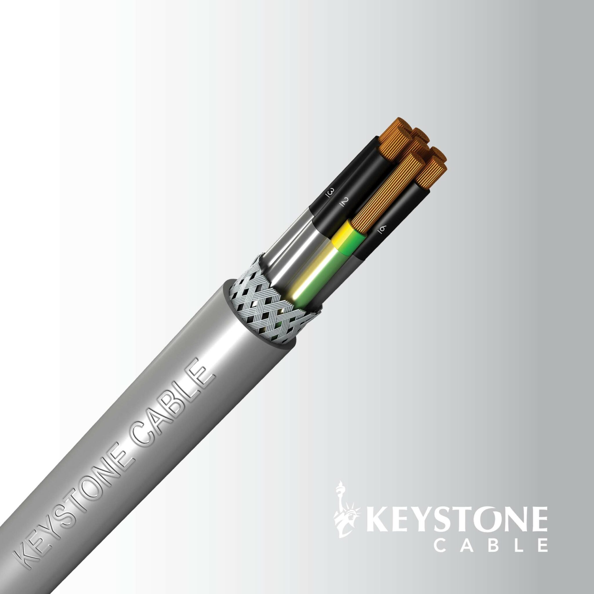 300/500V Multi-Core, YSLCY, PVC Insulated, Braided Screen, PVC Sheathed ...