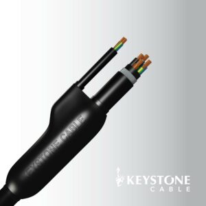 0.6/1kV 2 ~ 5-Core, XLPE Insulated, LSZH Sheathed KEYFAB™ Flame ...