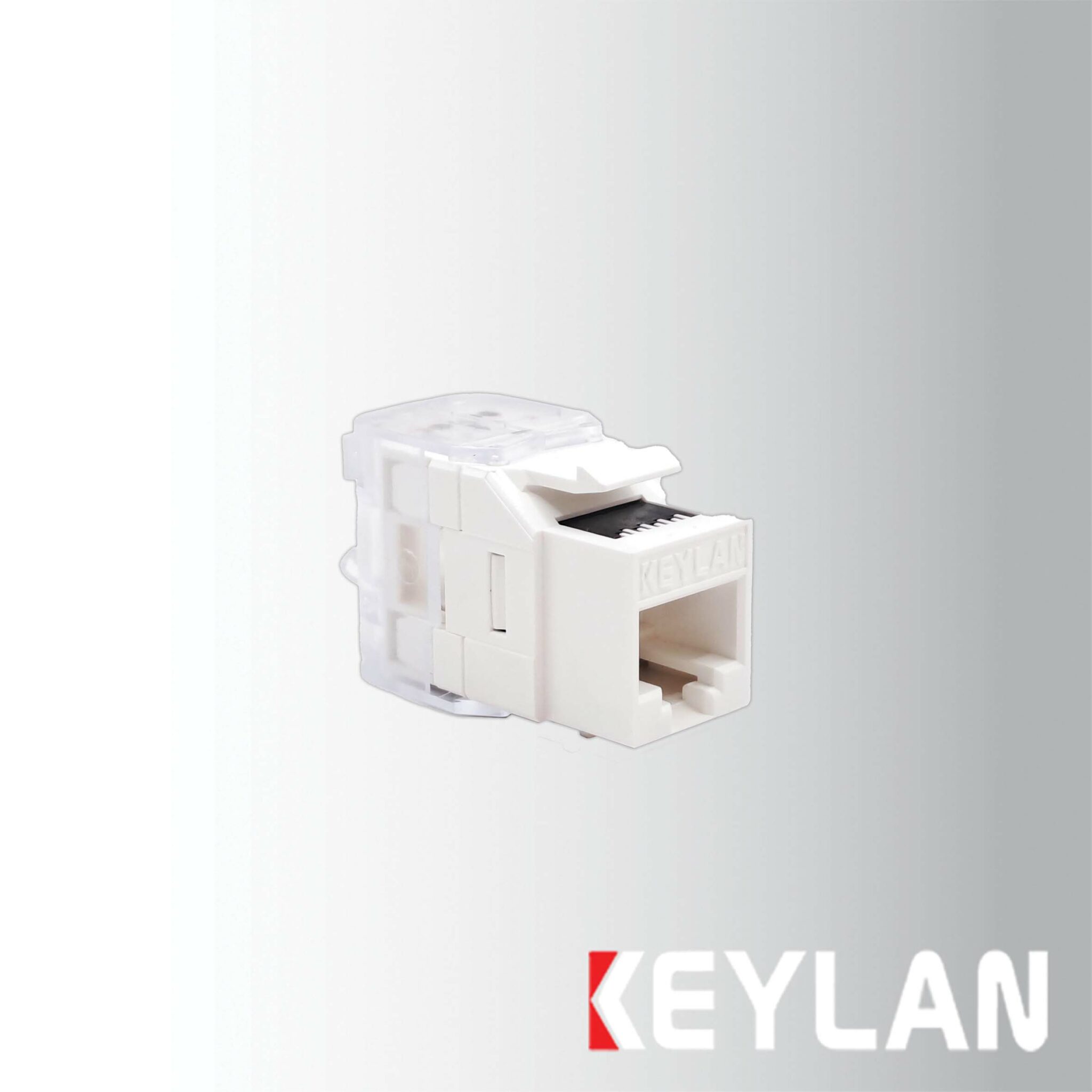 UTP CAT 6 RJ45 Tool-less Jack - Keystone Cable